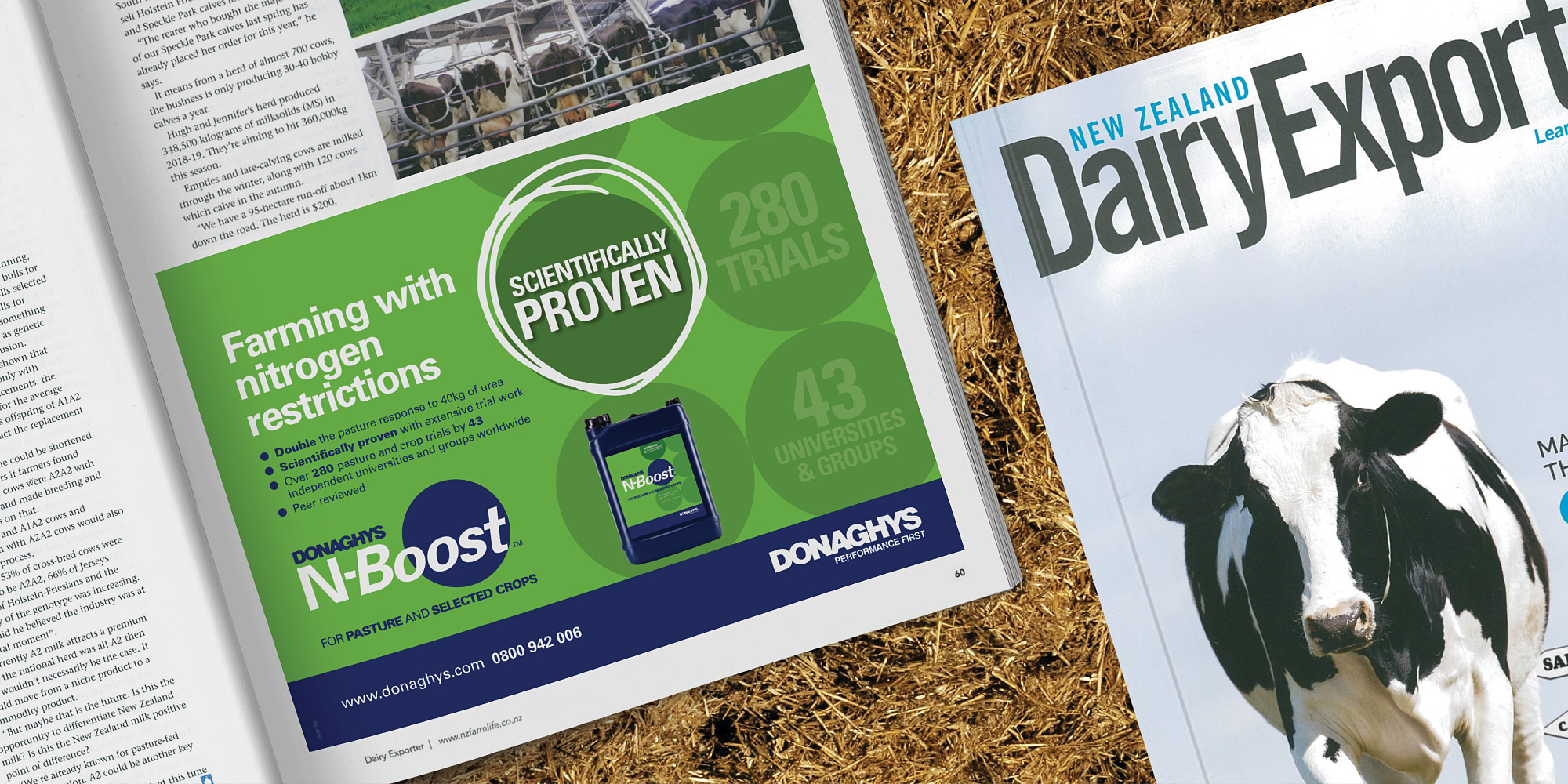 N-BOOST – Advertising, Television, Tradeshow, Packaging - Ideation